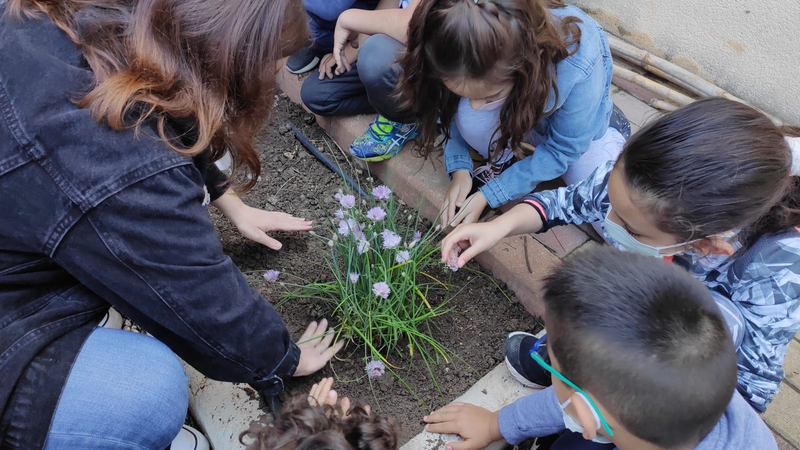 About Streets For Kids - Clean Cities Campaign